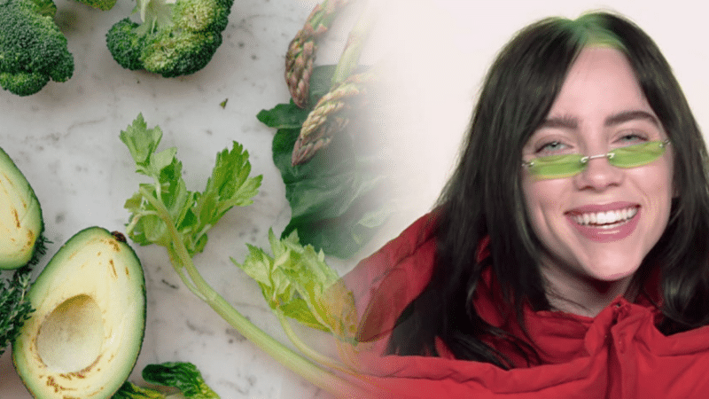 Top 12 Hollywood Celebrities That Are Vegan
