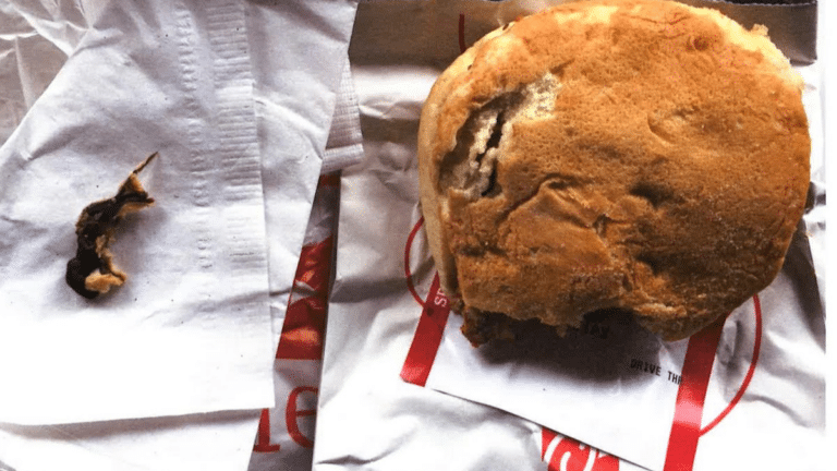 Top 15 Grossest Things People Have Found In Fast Food