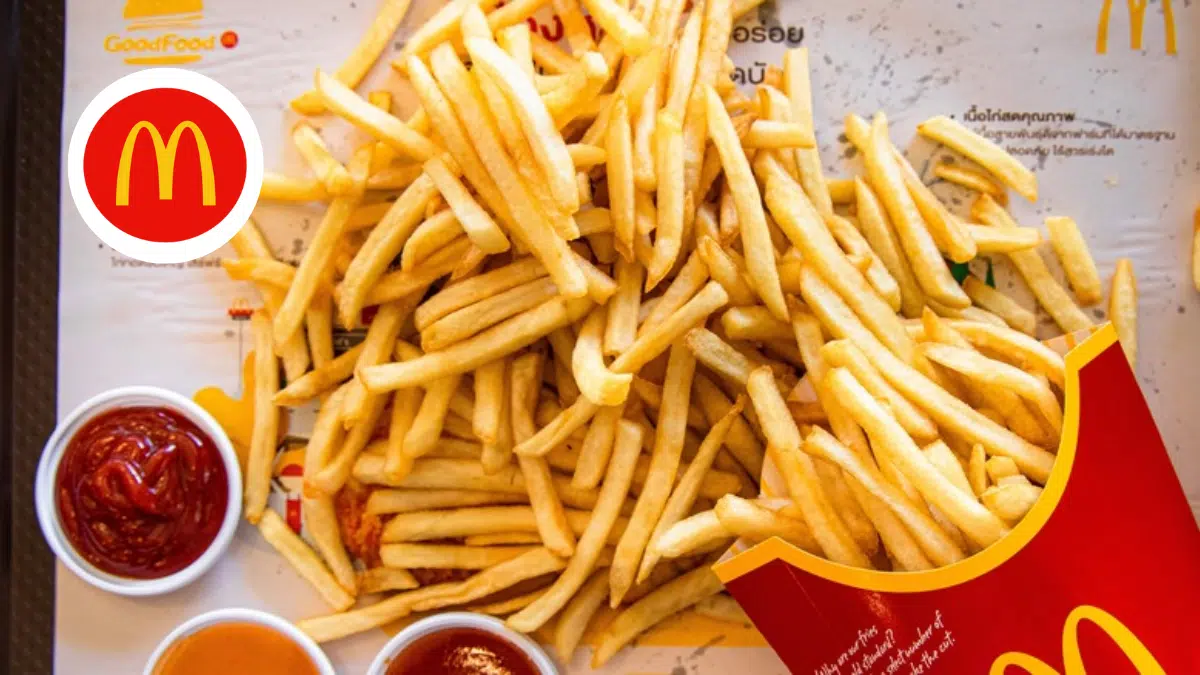 Top 10 Fast Food French Fries This 2024