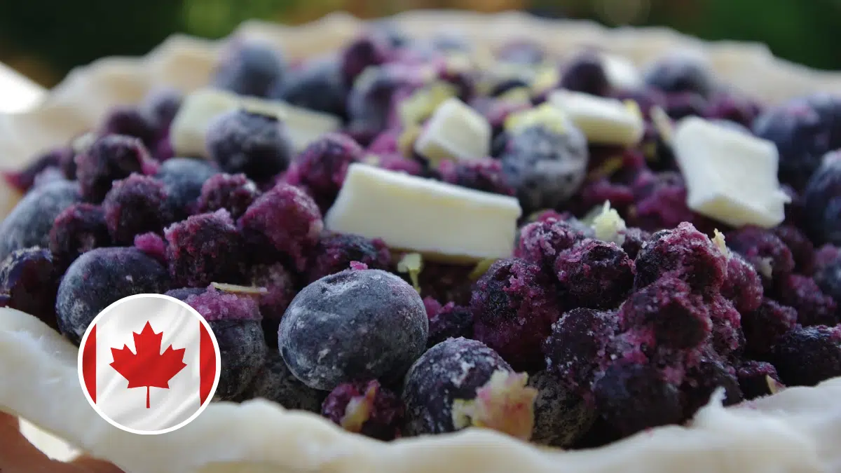 Canadians Advice: 10 Foods Americans Must Try When They Visit Canada