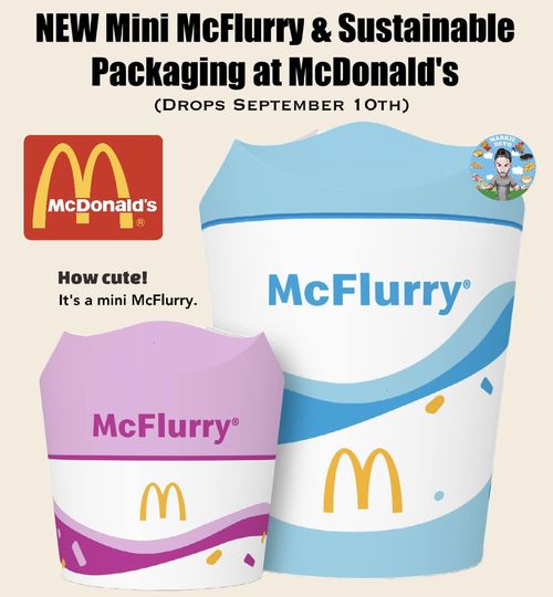 Sweetness Without Guilt: McDonald's Unveils New Mini McFlurry